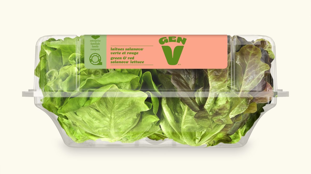 Red and Green Salanova™ Lettuce | Cultures Gen V