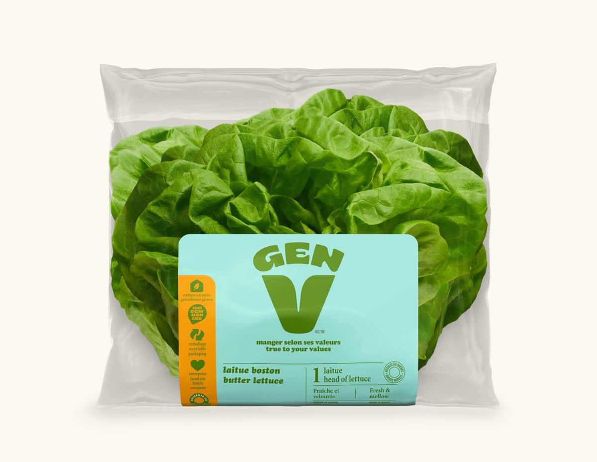 2 laitues Boston | Cultures Gen V